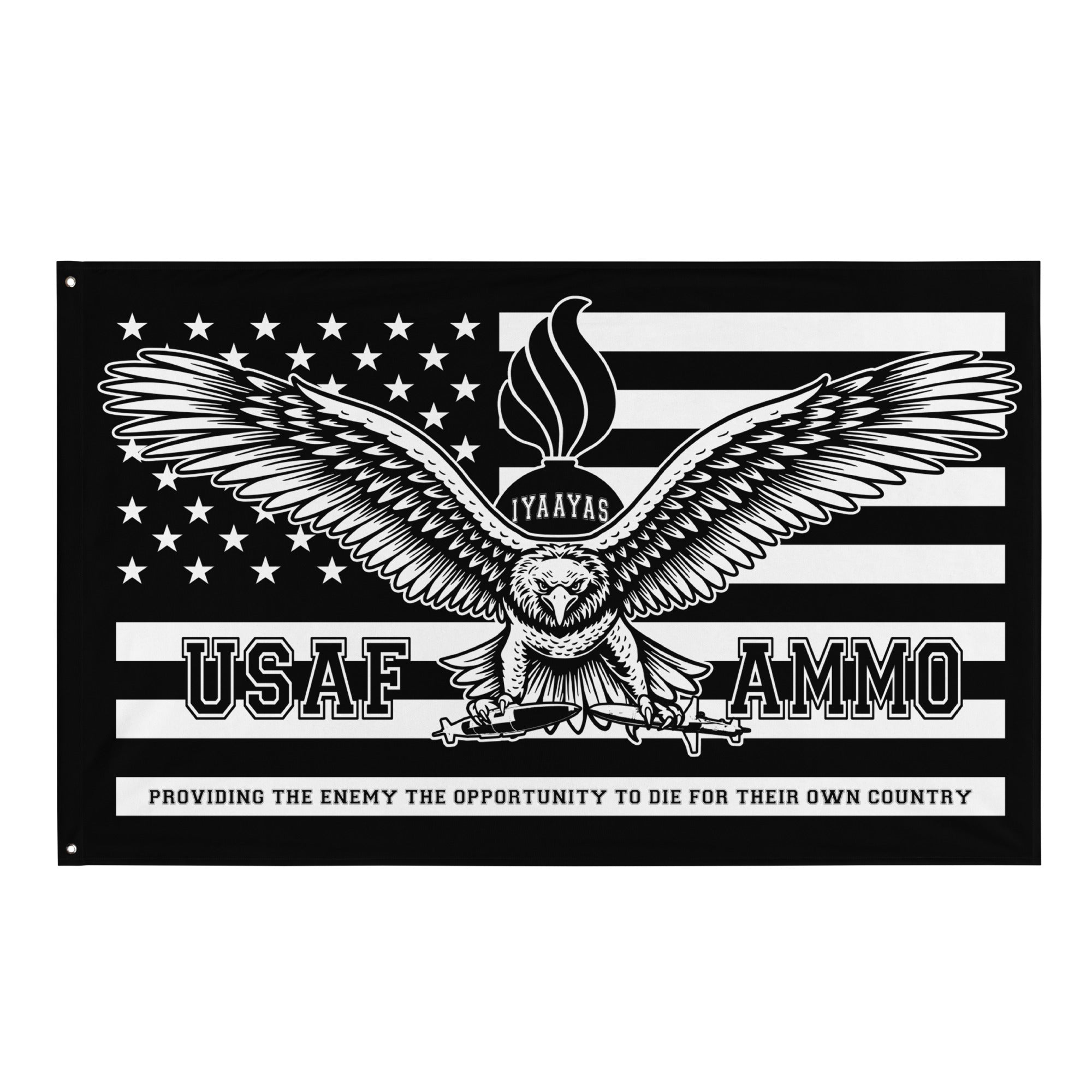 USAF AMMO American Flag Eagle Pisspot IYAAYAS JDAM and AGM-88 One-Side ...